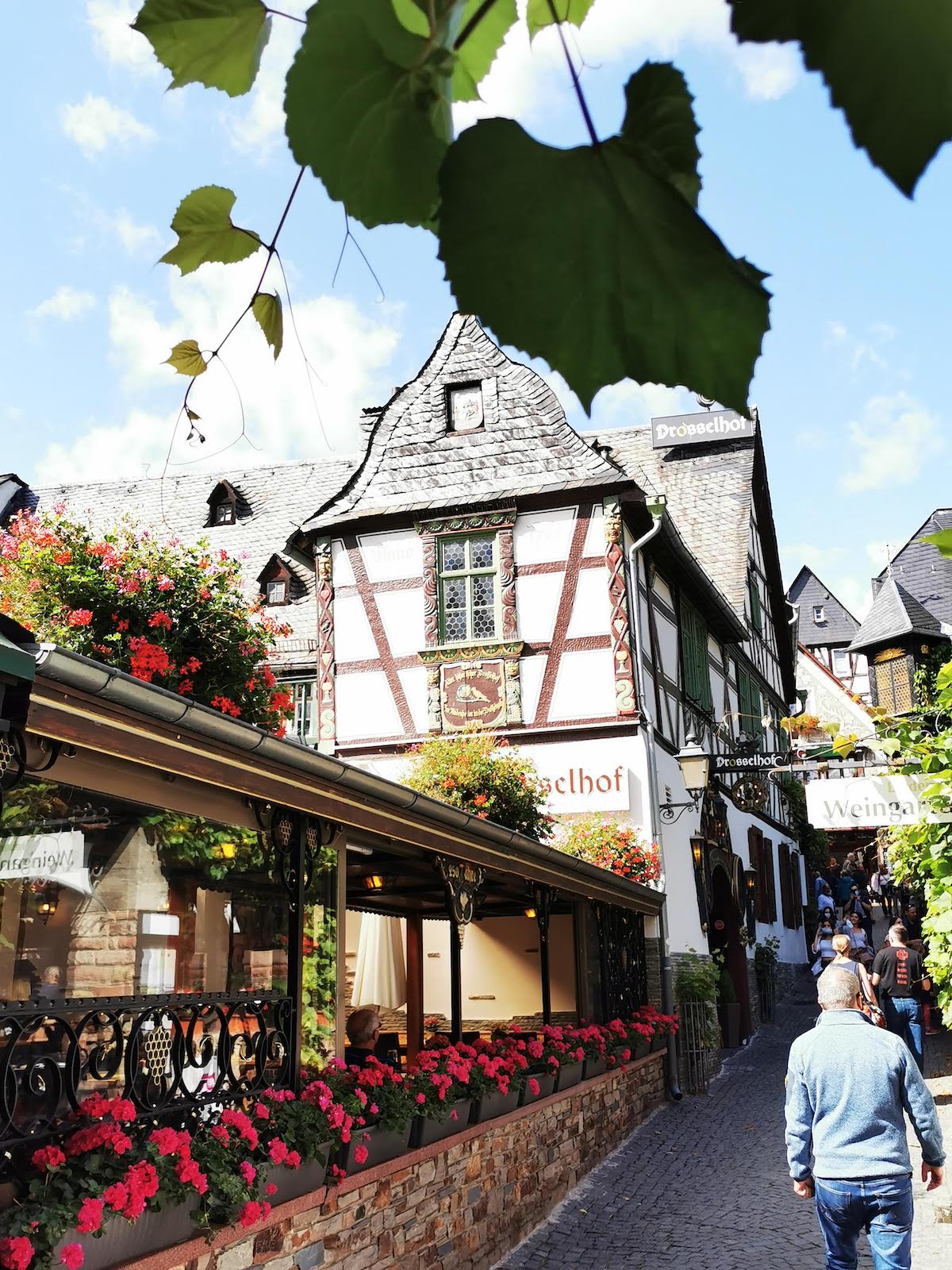 Top 10 Rheingau Weinhotels & Winzerhotels für Ihren Weinurlaub